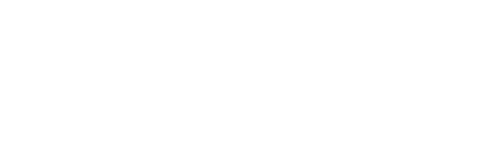 Sacci Pro SE - Sacci